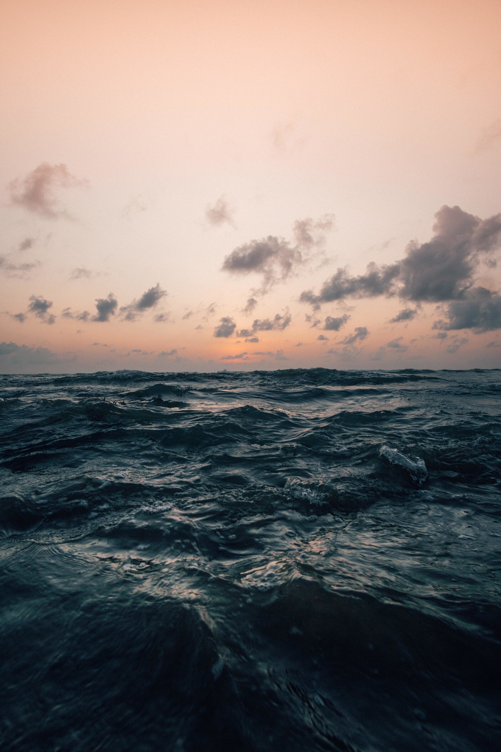 There is no liveable planet without the ocean. Business can chart a ...