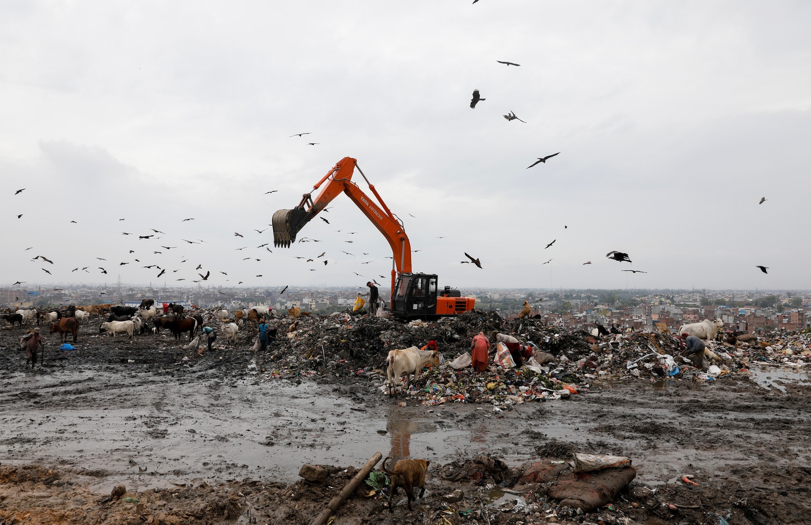 Natural resources: When was Earth Overshoot Day in 2021? | World ...