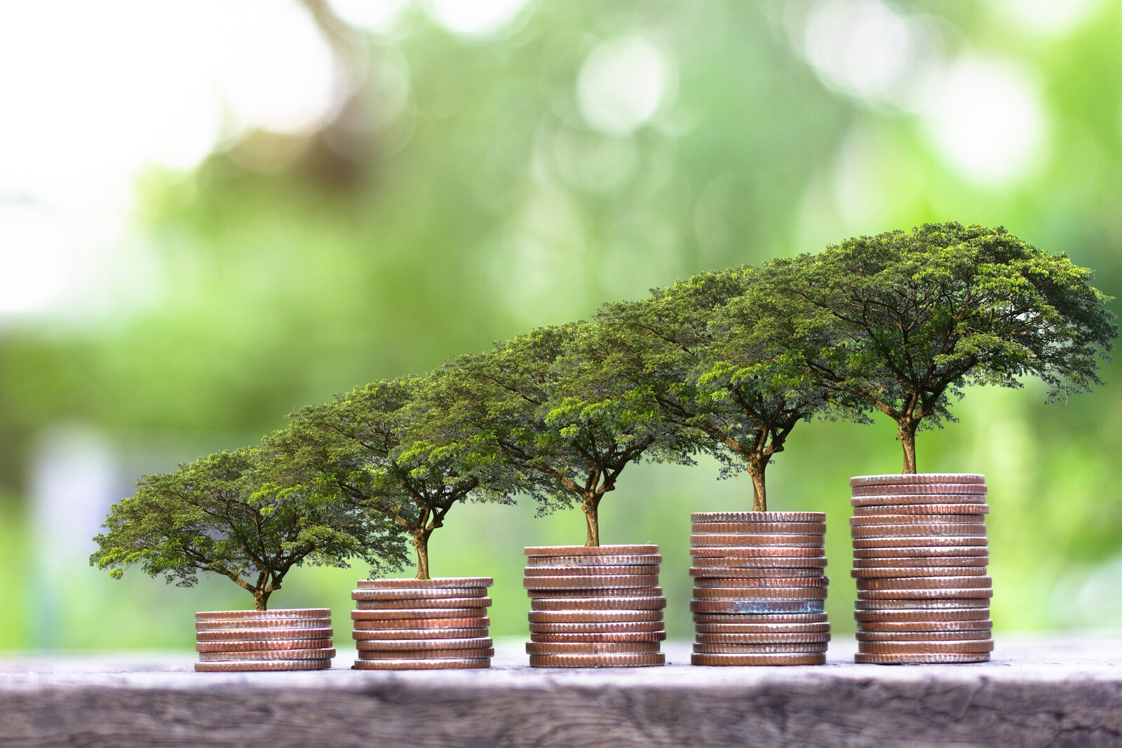 We can be more precise about responsible investing. Here's how | World ...