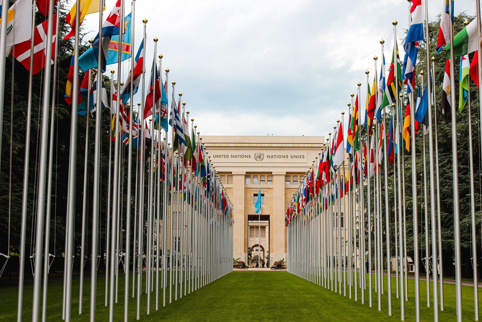 The UN just declared a new universal human right | World Economic Forum
