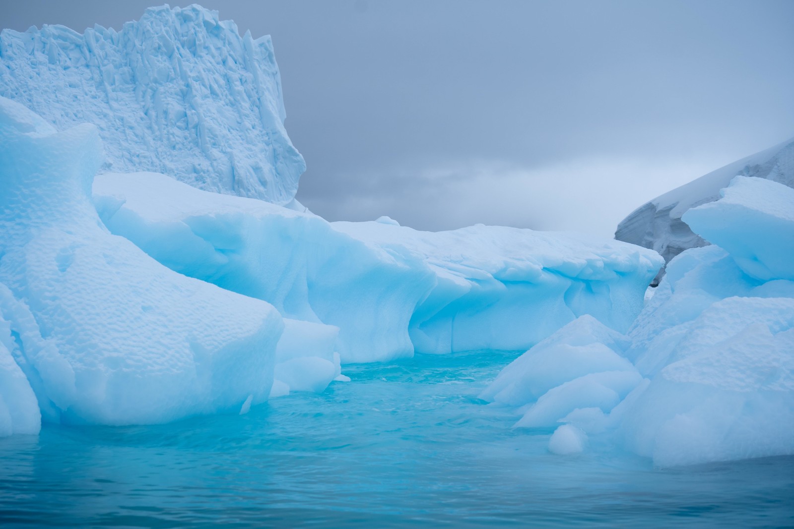 Antarctica tourism: What's the damage to its ecosystems? | World ...