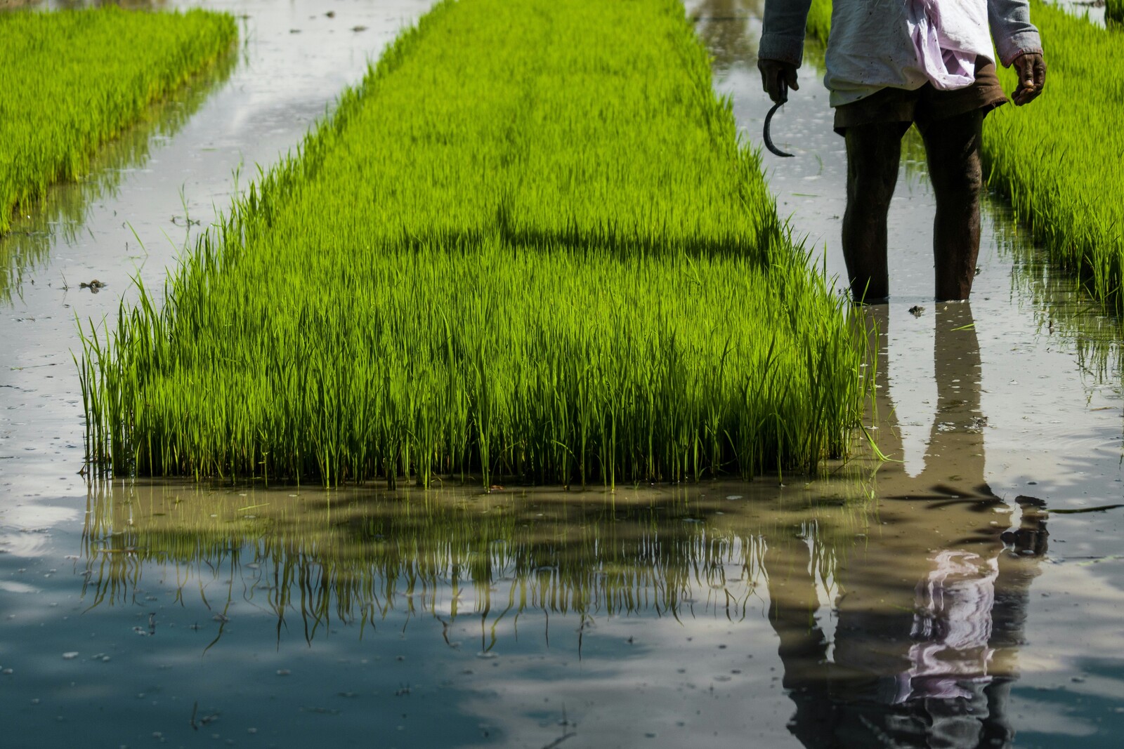 World Water Day: Why data is key to making decisions about food and ...