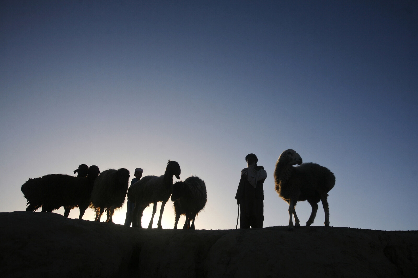 World prosperity: 4 key data points you need to understand | World ...