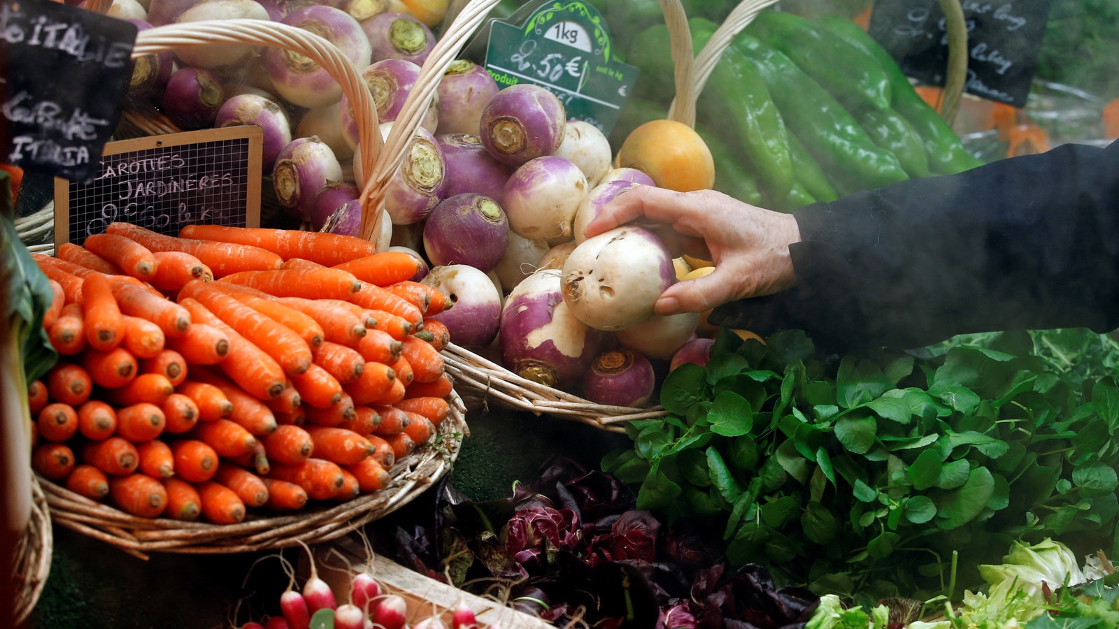 Ellen MacArthur Foundation | World Economic Forum