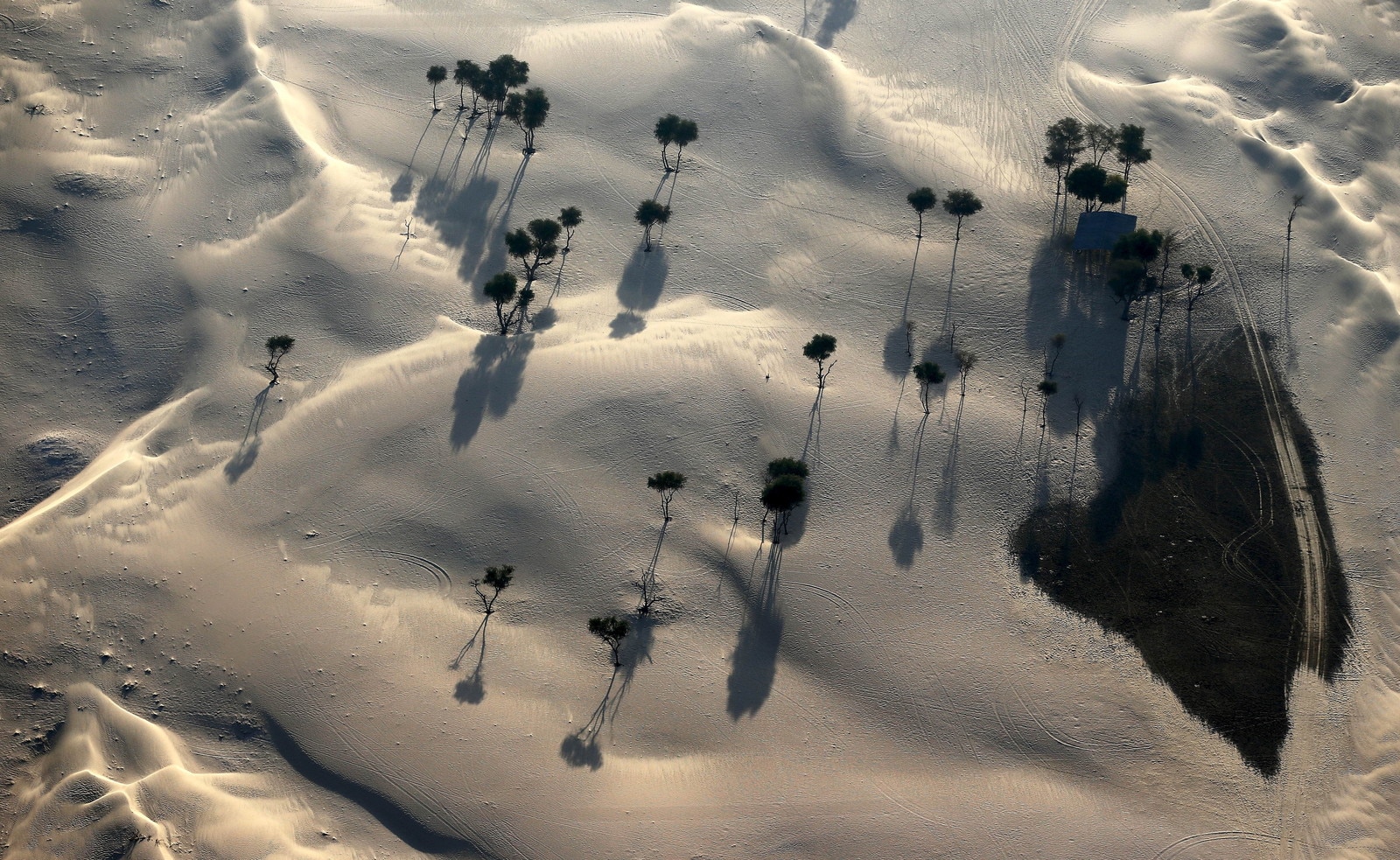 4 ways the Middle East can catch up on climate action | World Economic ...