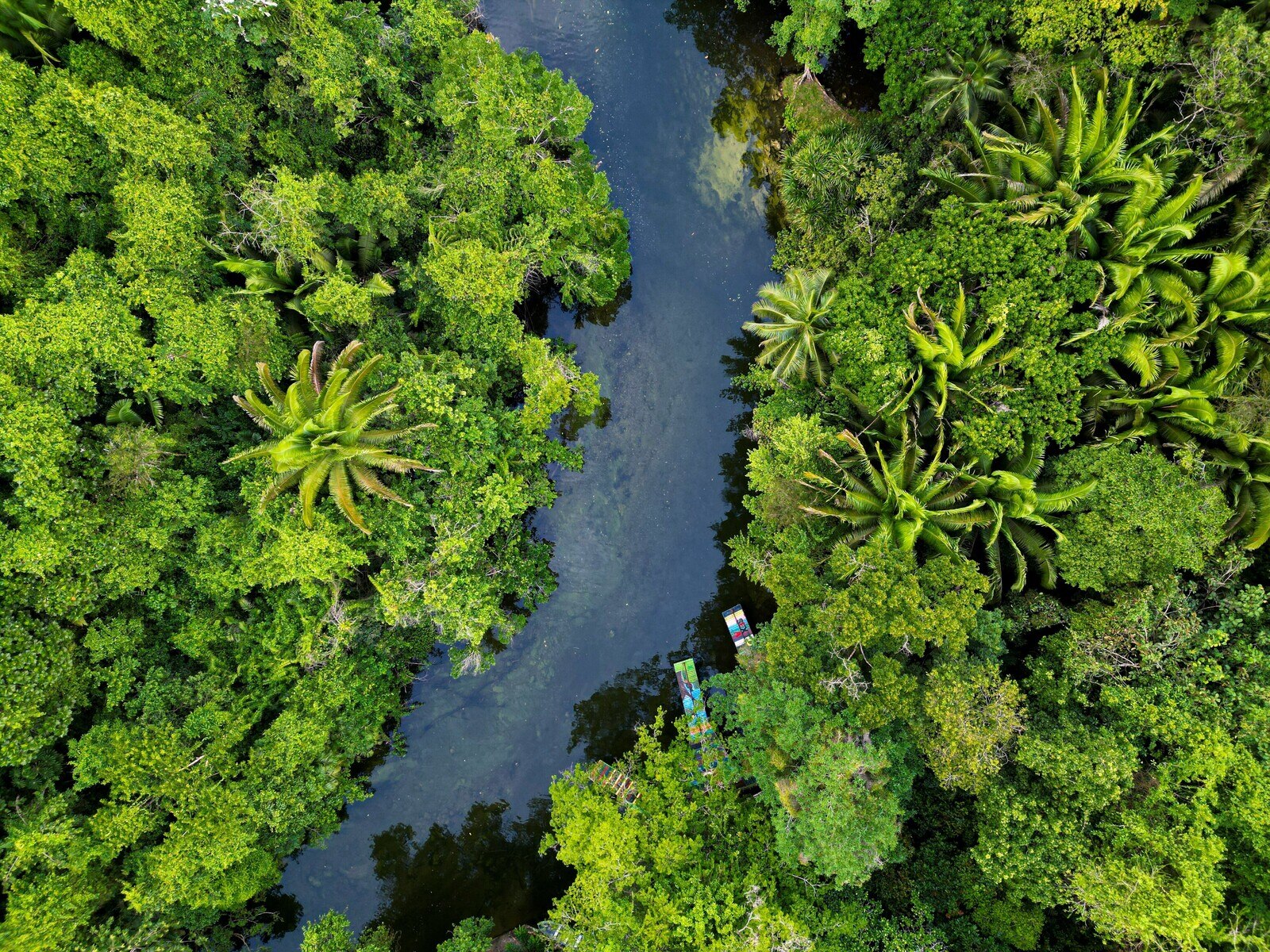 What are the Sustainable Development Goals? | World Economic Forum