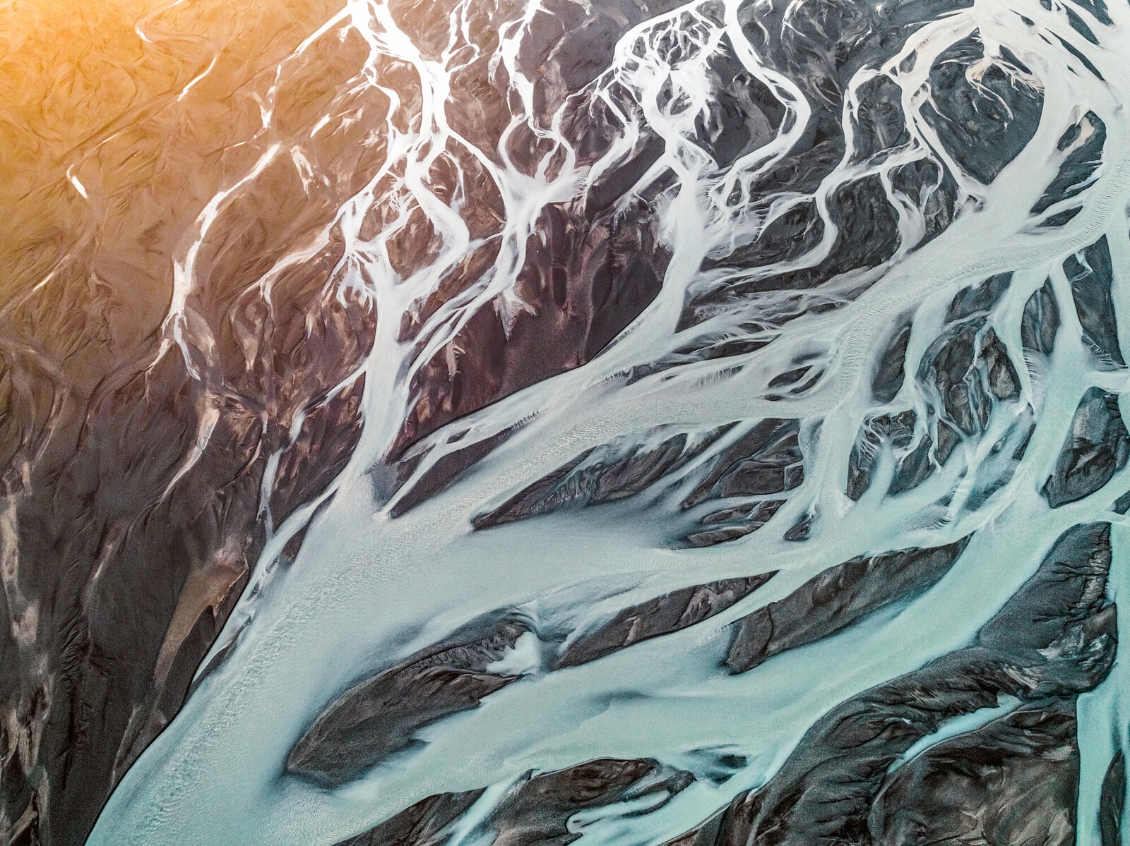 'Safeguarding the Planet': Climate, nature and energy at Davos 2025 ...