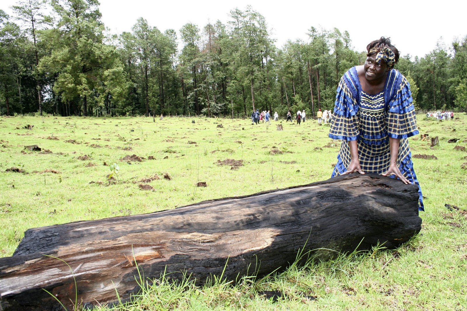 Black History Month: 5 Black environmentalists you should know | World ...