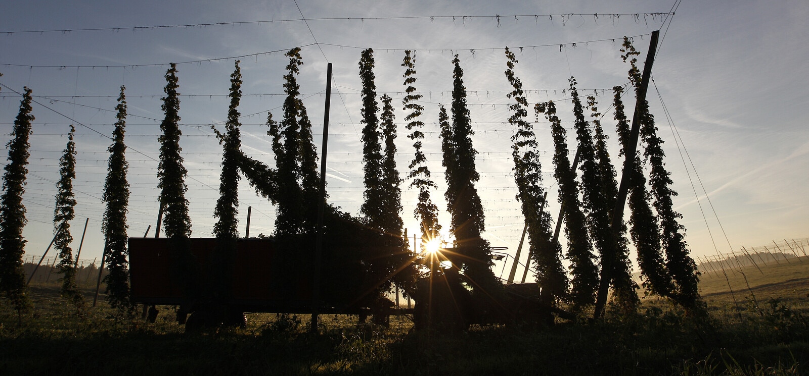 This is why beer makes for an effective climate lesson | World Economic ...