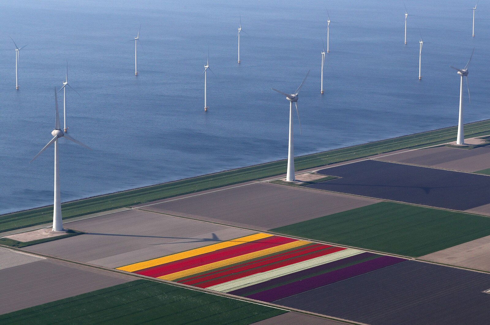 Country tracker tool shows progress in Europe on SDGs | World Economic ...