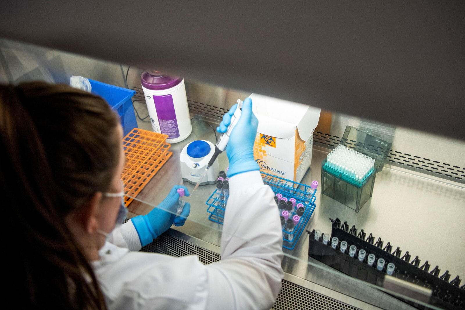 Global cooperation is crucial for pathogen detection | World Economic Forum