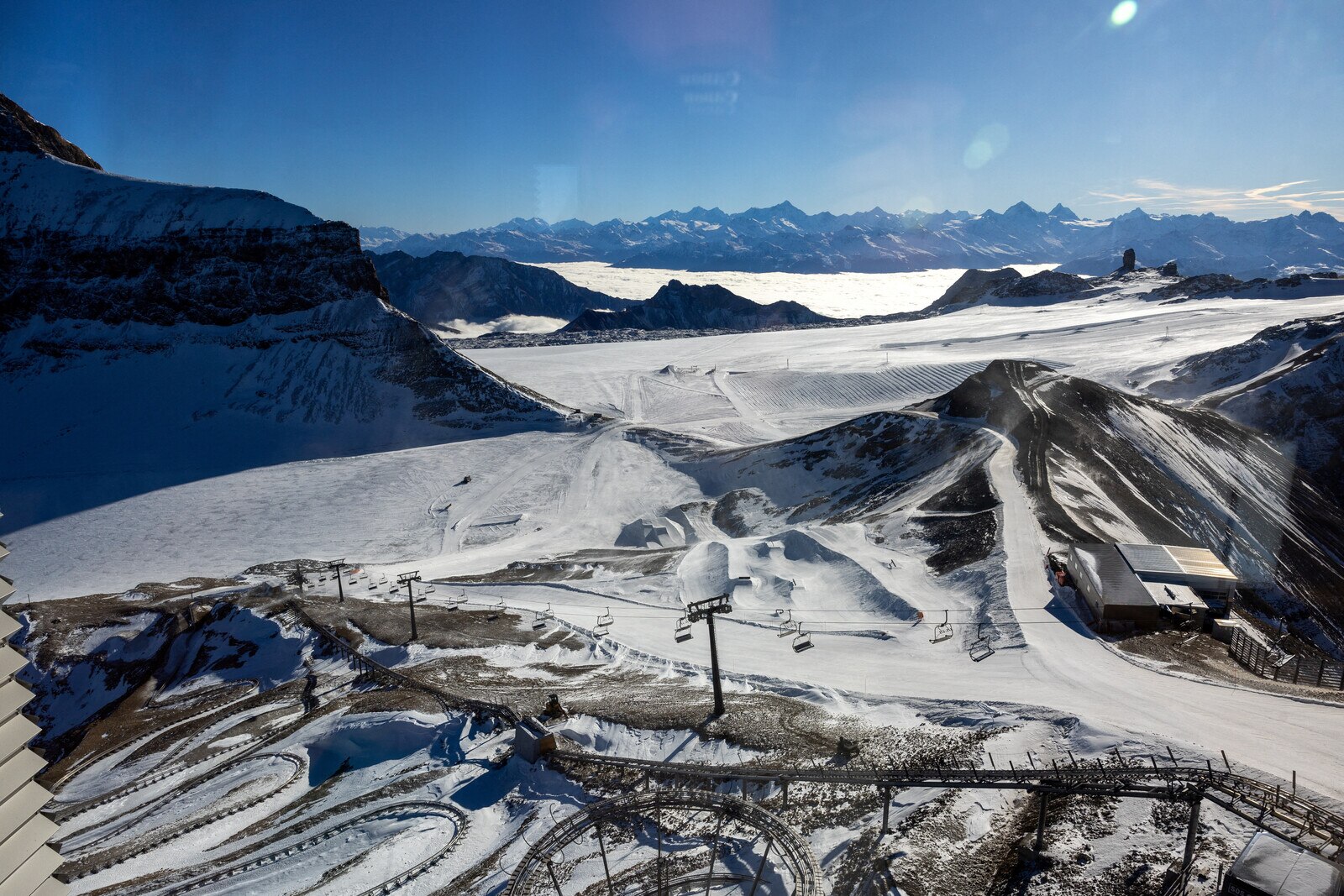 How zoos can save our animals | World Economic Forum