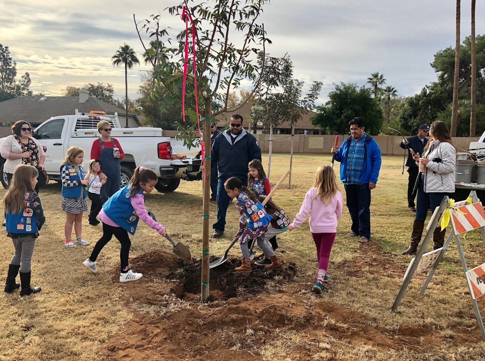 3 innovative projects that are helping to reforest our planet | World ...