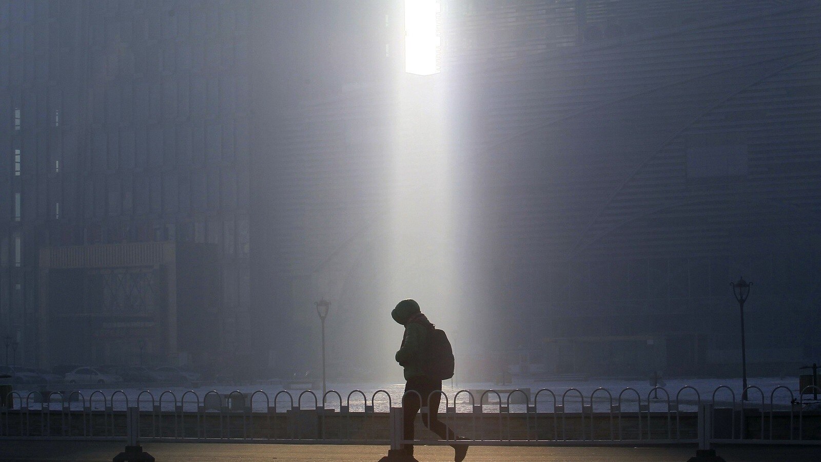 Colette Heald - Agenda Contributor | World Economic Forum