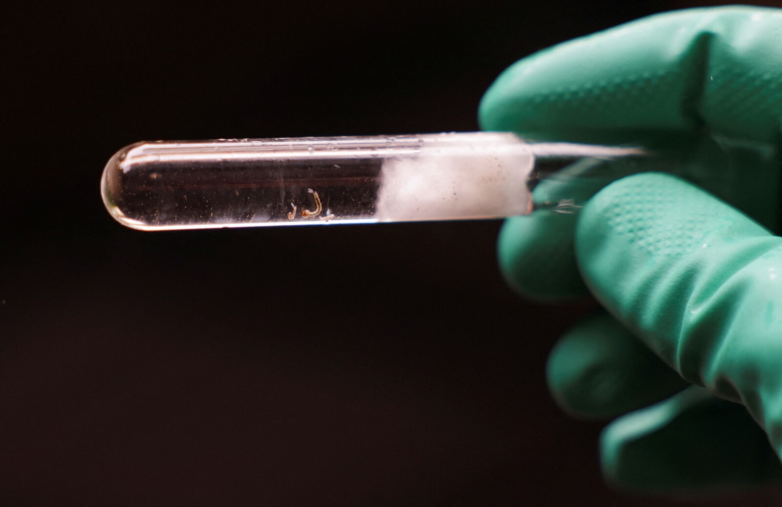 Doctors on dengue alert, and other top health stories | World Economic ...