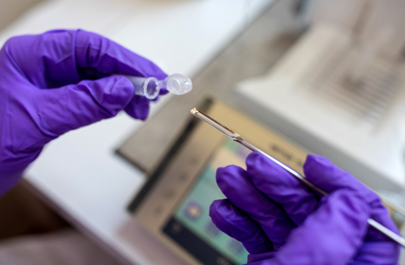 New support for climate, disease research and more health news | World ...