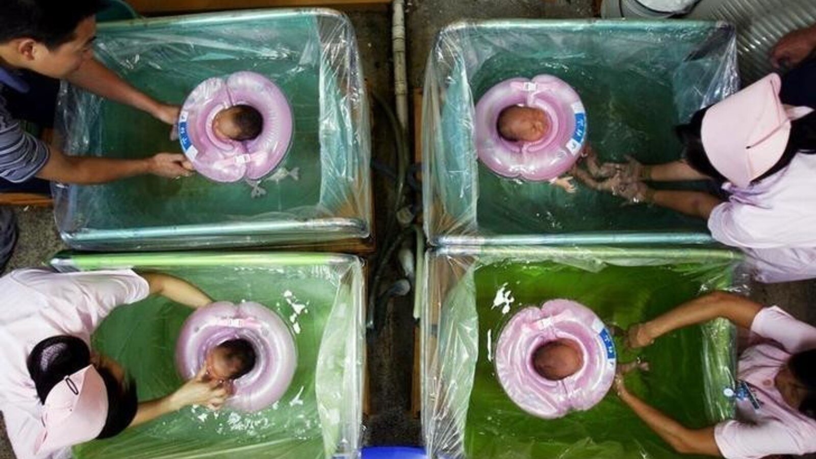 Adam Jezard - Agenda Contributor | World Economic Forum