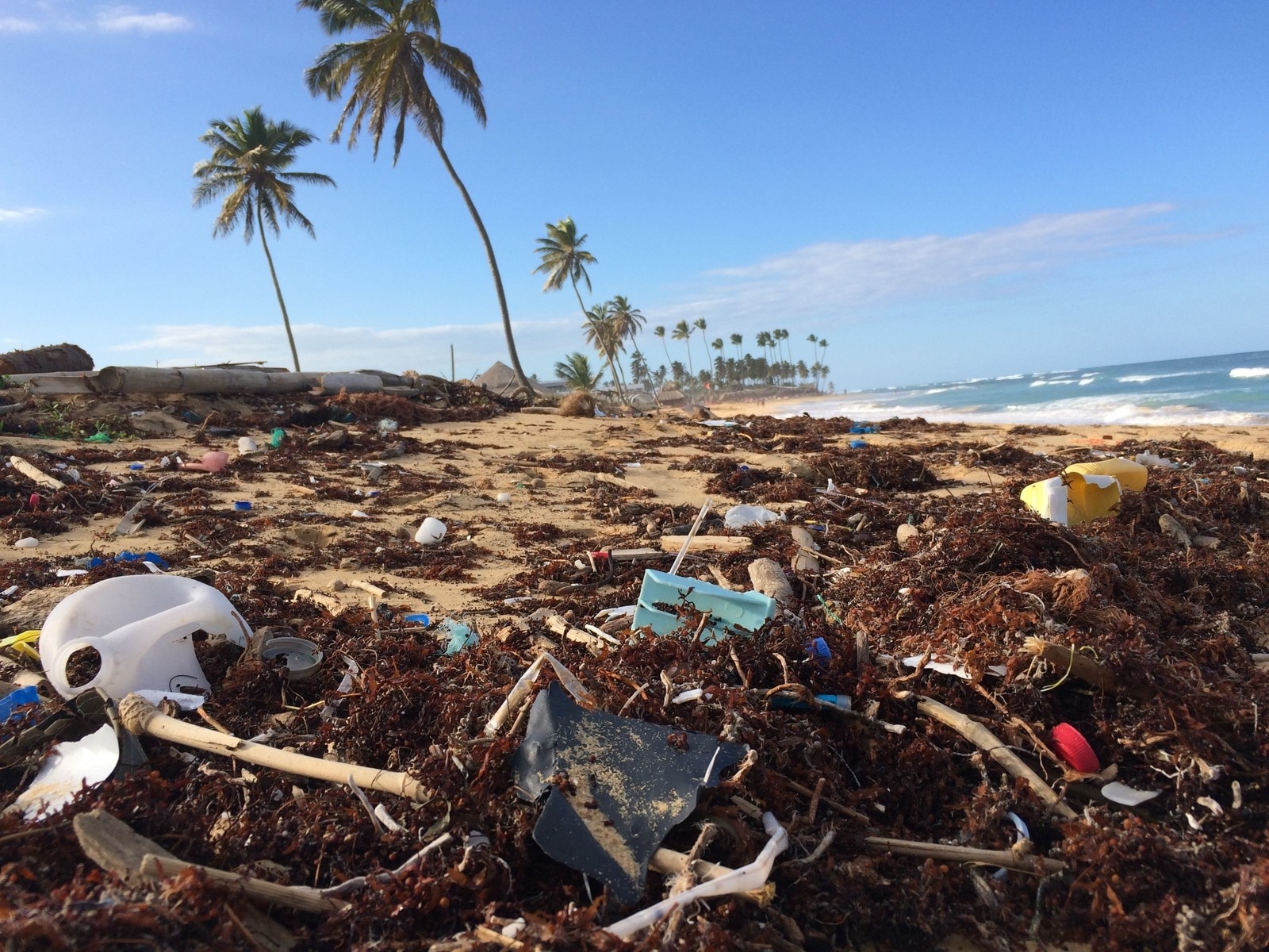 3 ways to cut plastic pollution, according to the UN | World Economic Forum
