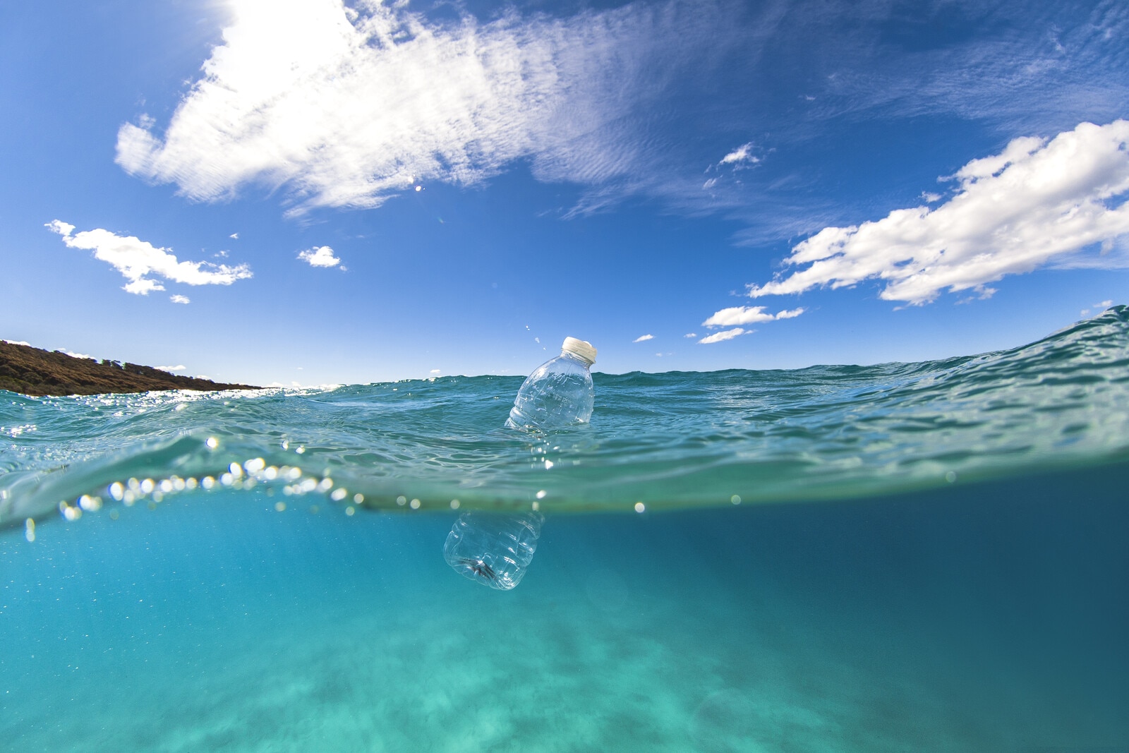 World Ocean Day: YGLs outline how we can protect our seas | World ...