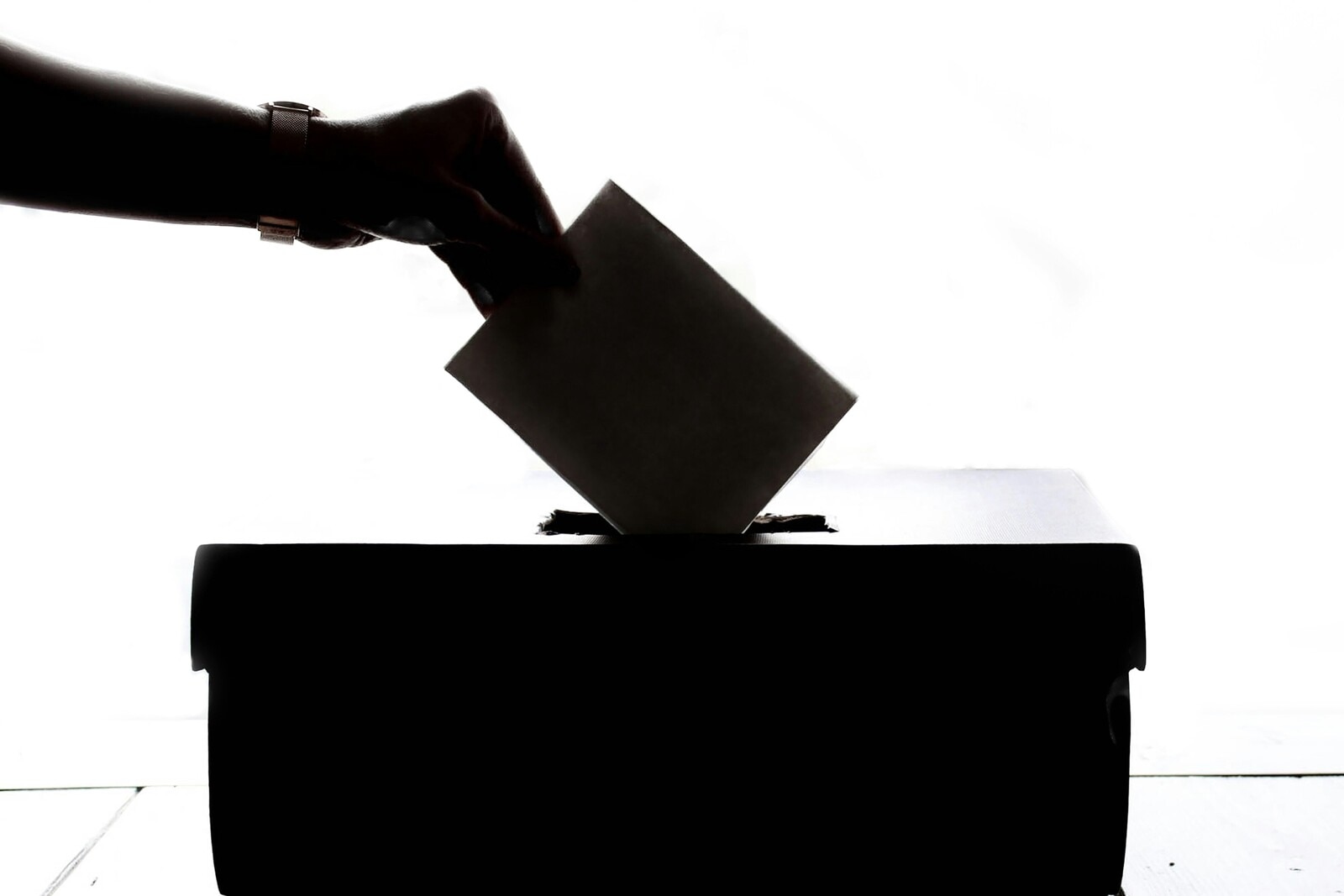 What is e-voting? Who’s using it and is it safe? | World Economic Forum
