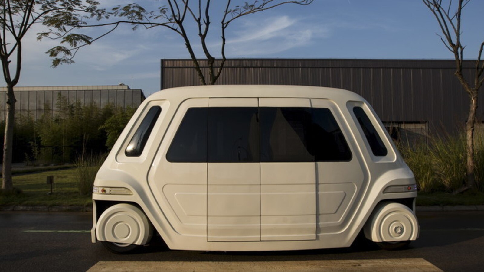 Lin Yang - Agenda Contributor | World Economic Forum