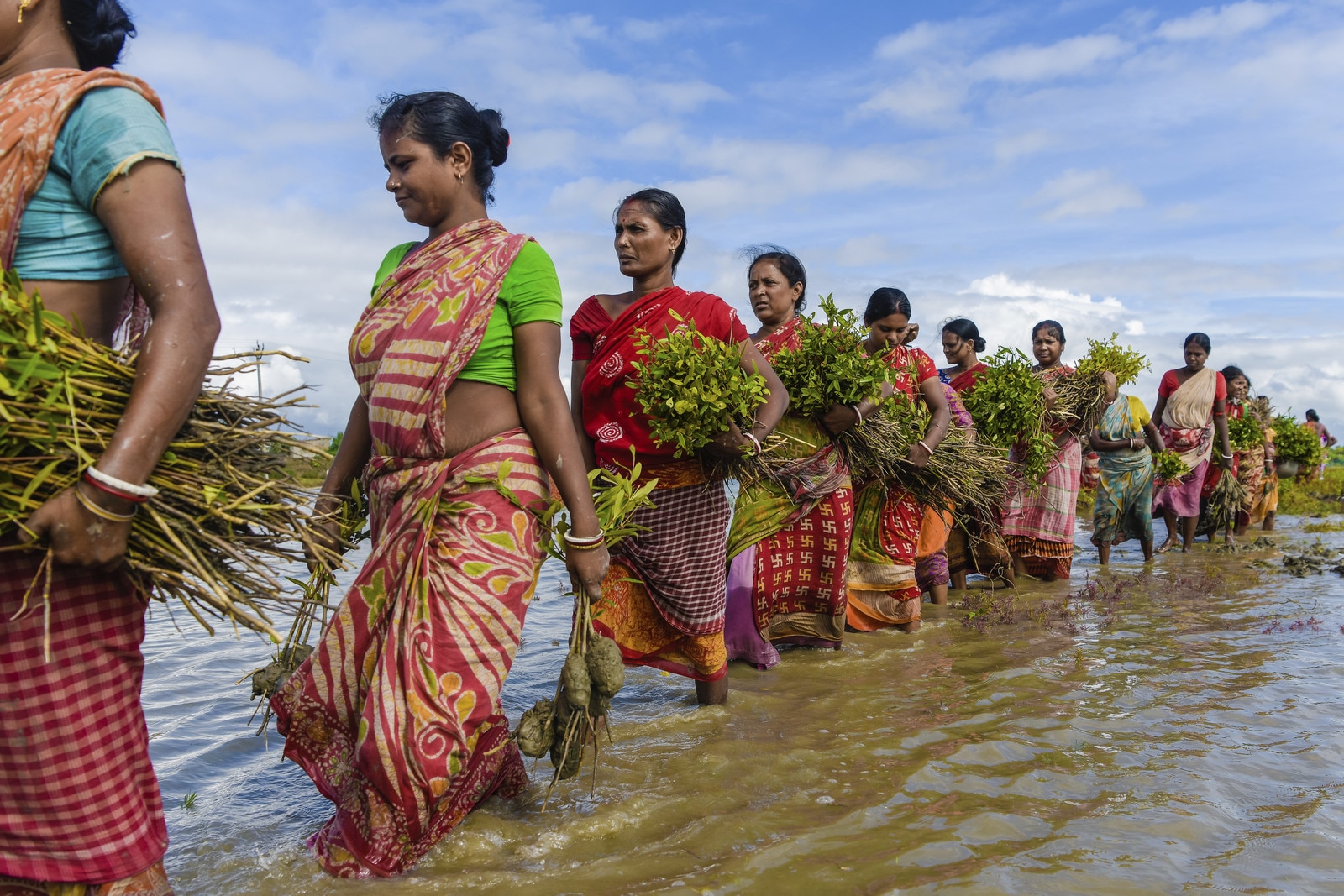 5 chief economists on progressing Sustainable Development Goals | World ...
