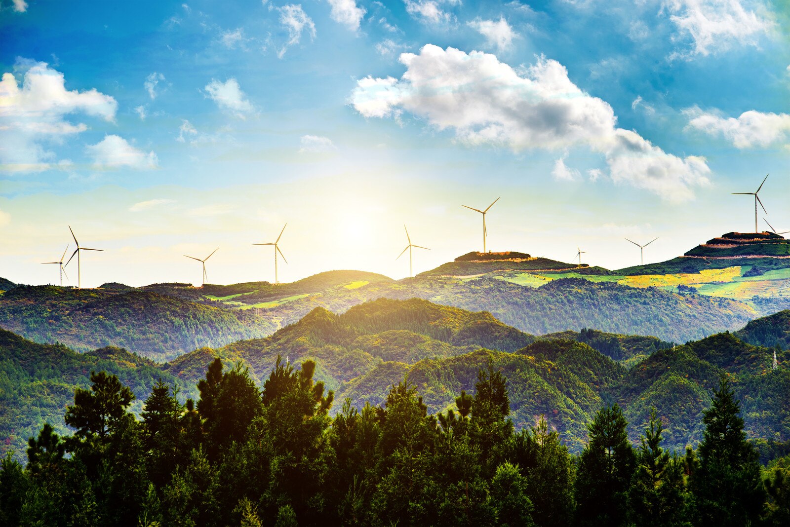 Maxim Timchenko - Agenda Contributor | World Economic Forum