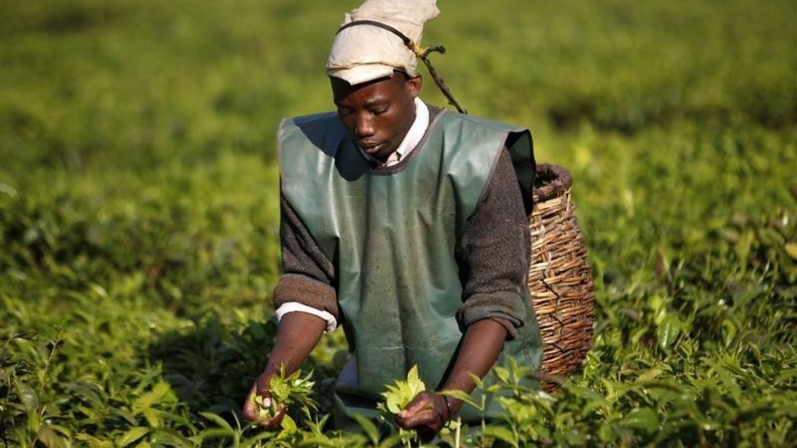 polymateria | World Economic Forum