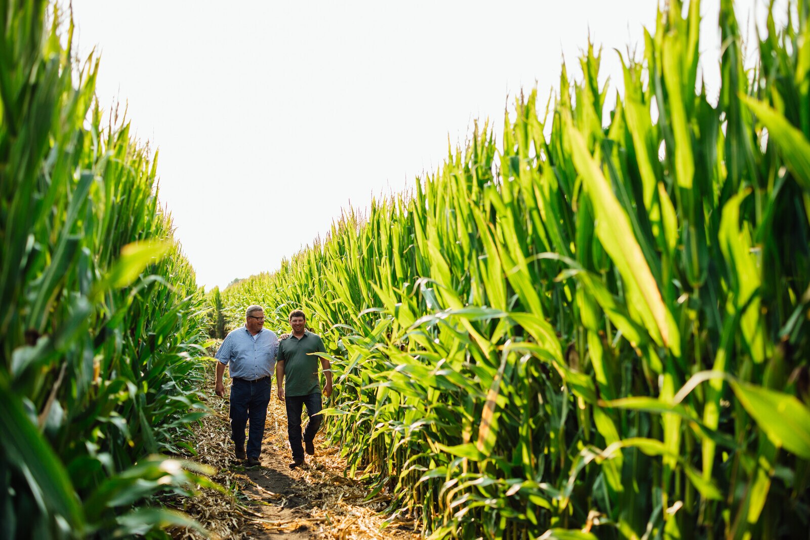 Why a focus on crop nutrition is key to feeding the world | World ...