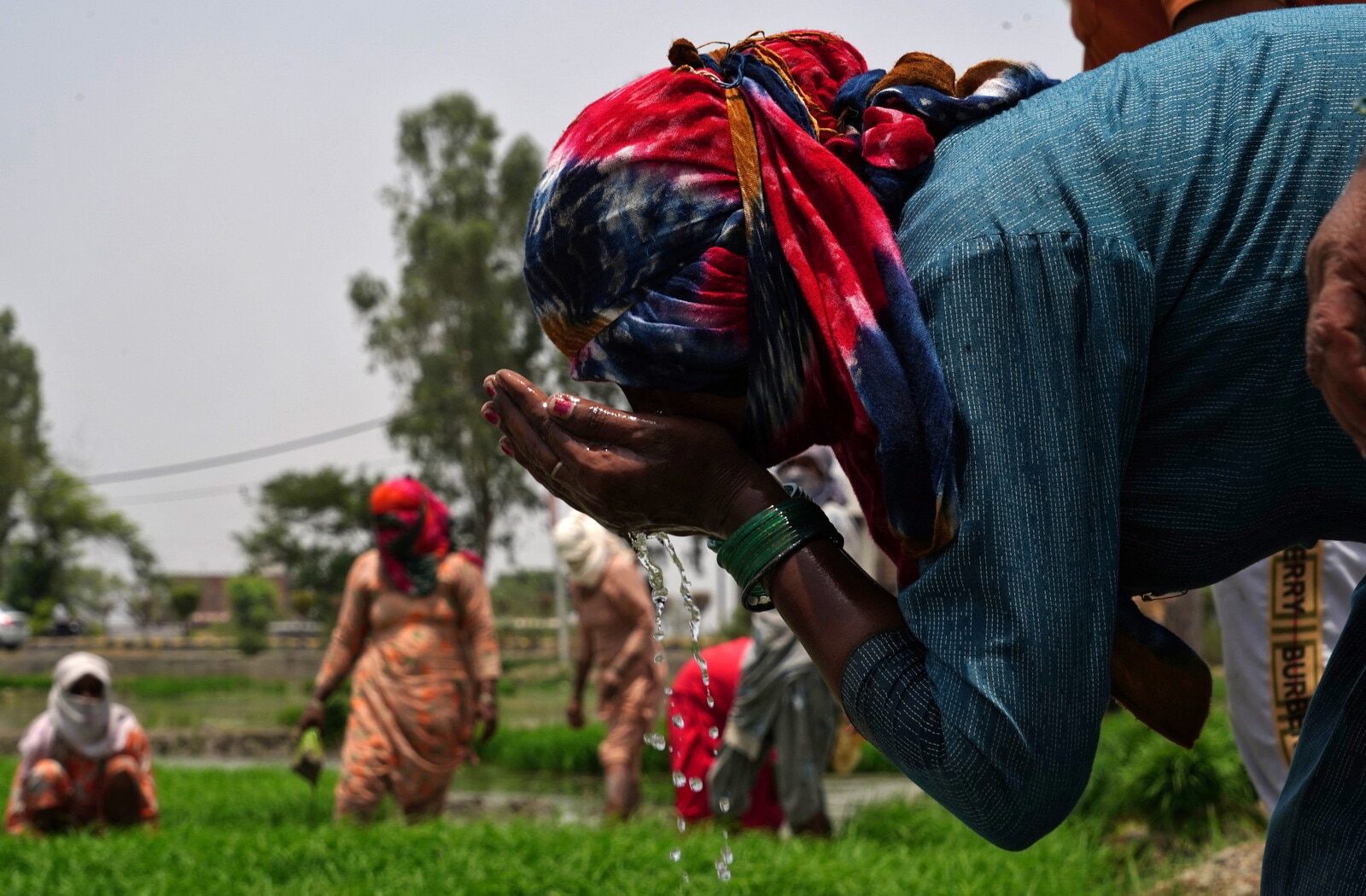 These are the nature and climate stories to know this week | World ...