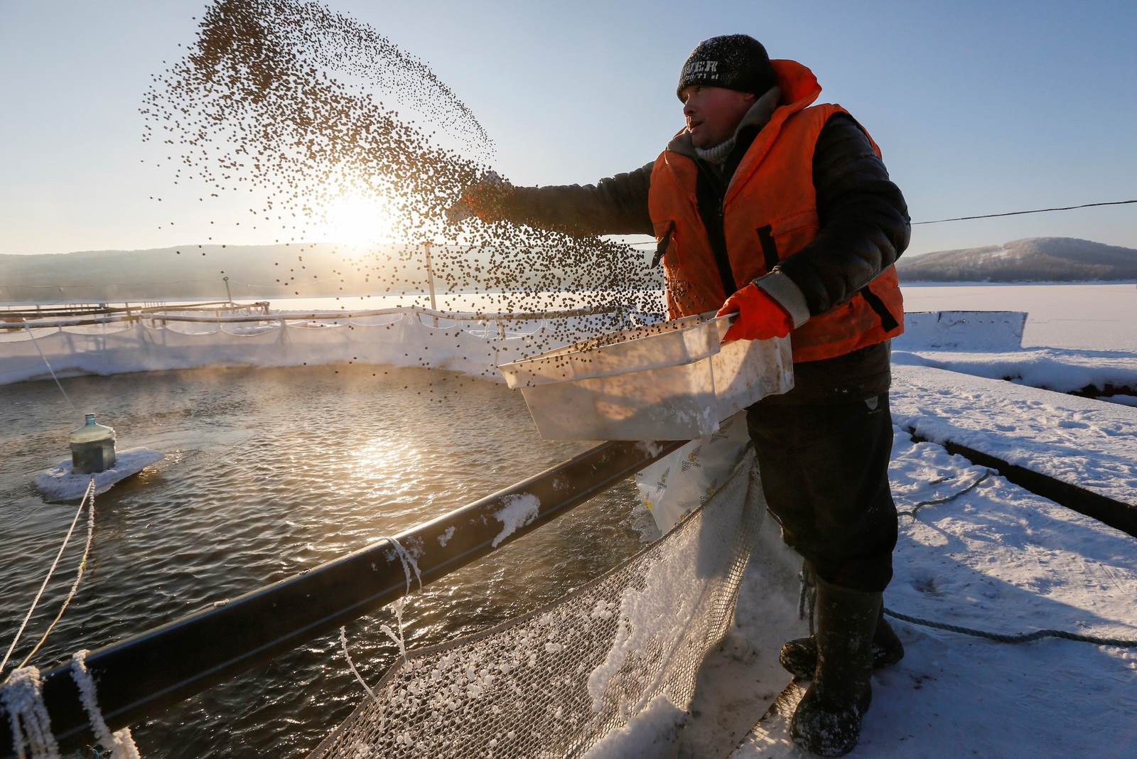 To feed the world, we need to waste less fish. Here's how | World ...