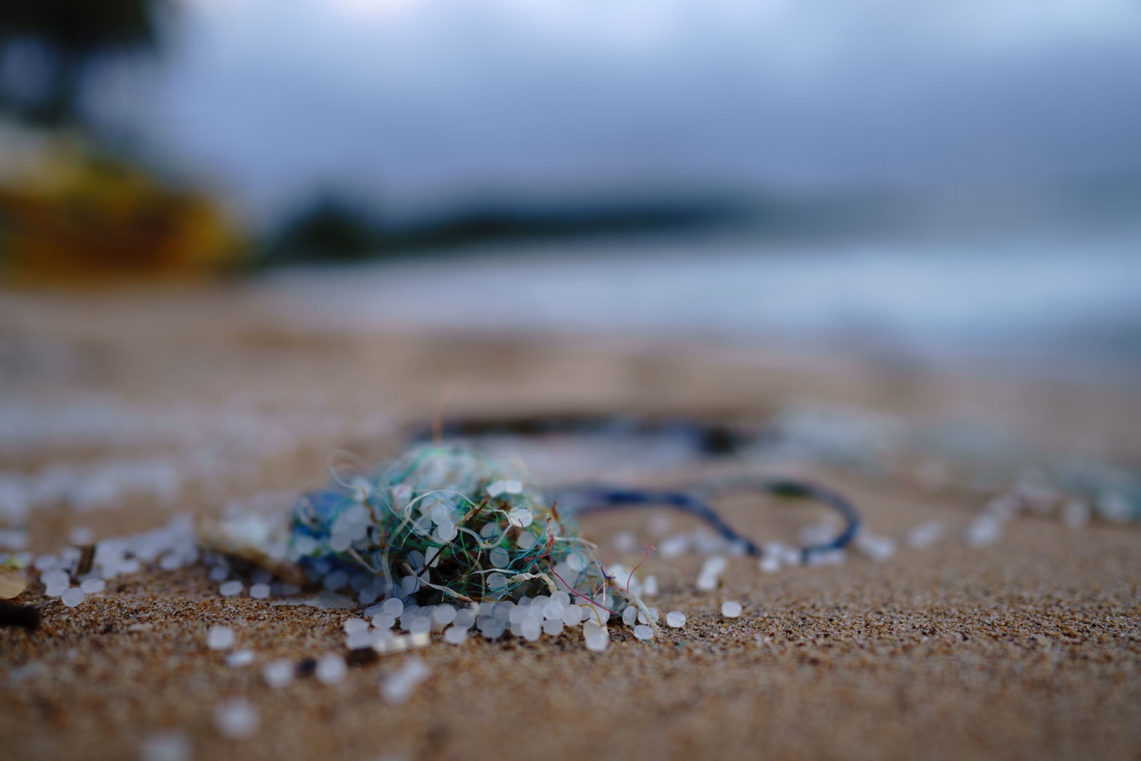 How businesses can fight plastic pollution with this sustainable ...