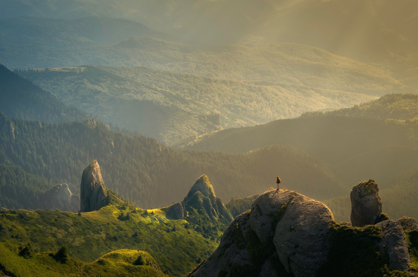 Earth Day: Here are 5 ways we can scale up climate solutions | World ...