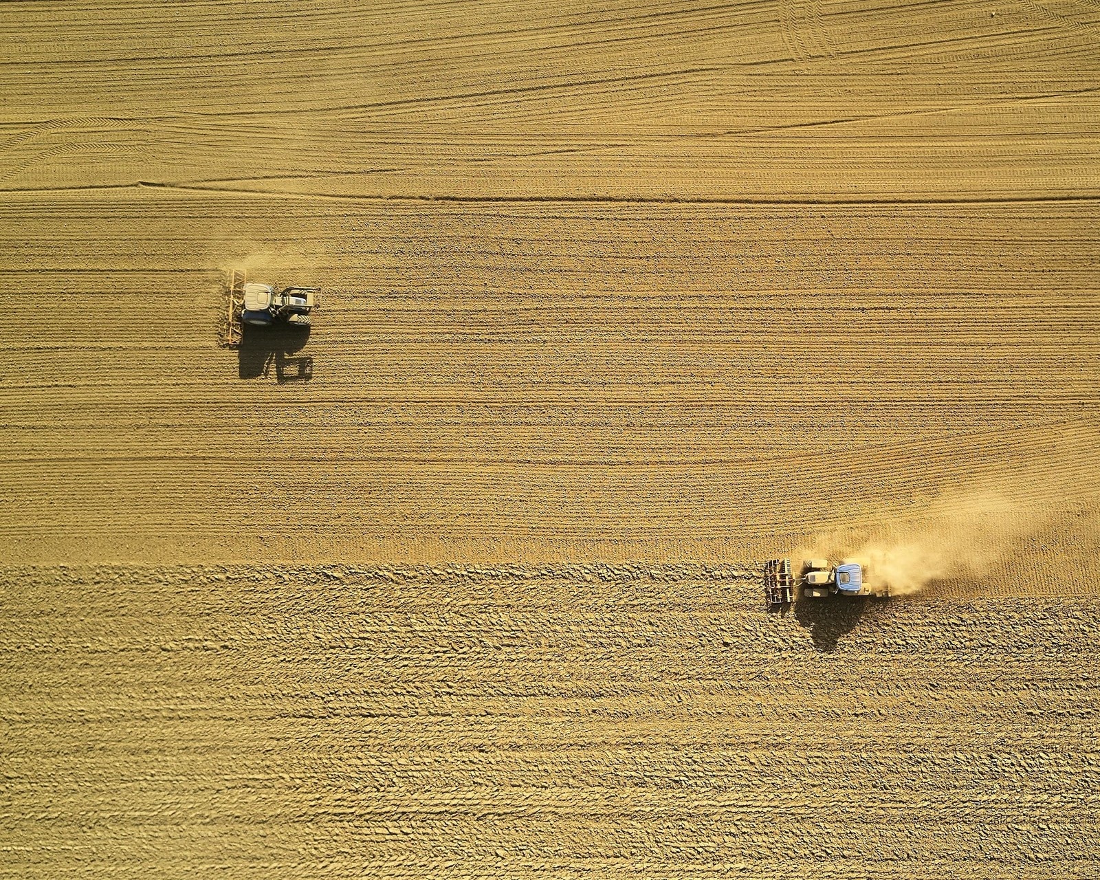 Here's how space technology can improve agriculture | World Economic Forum