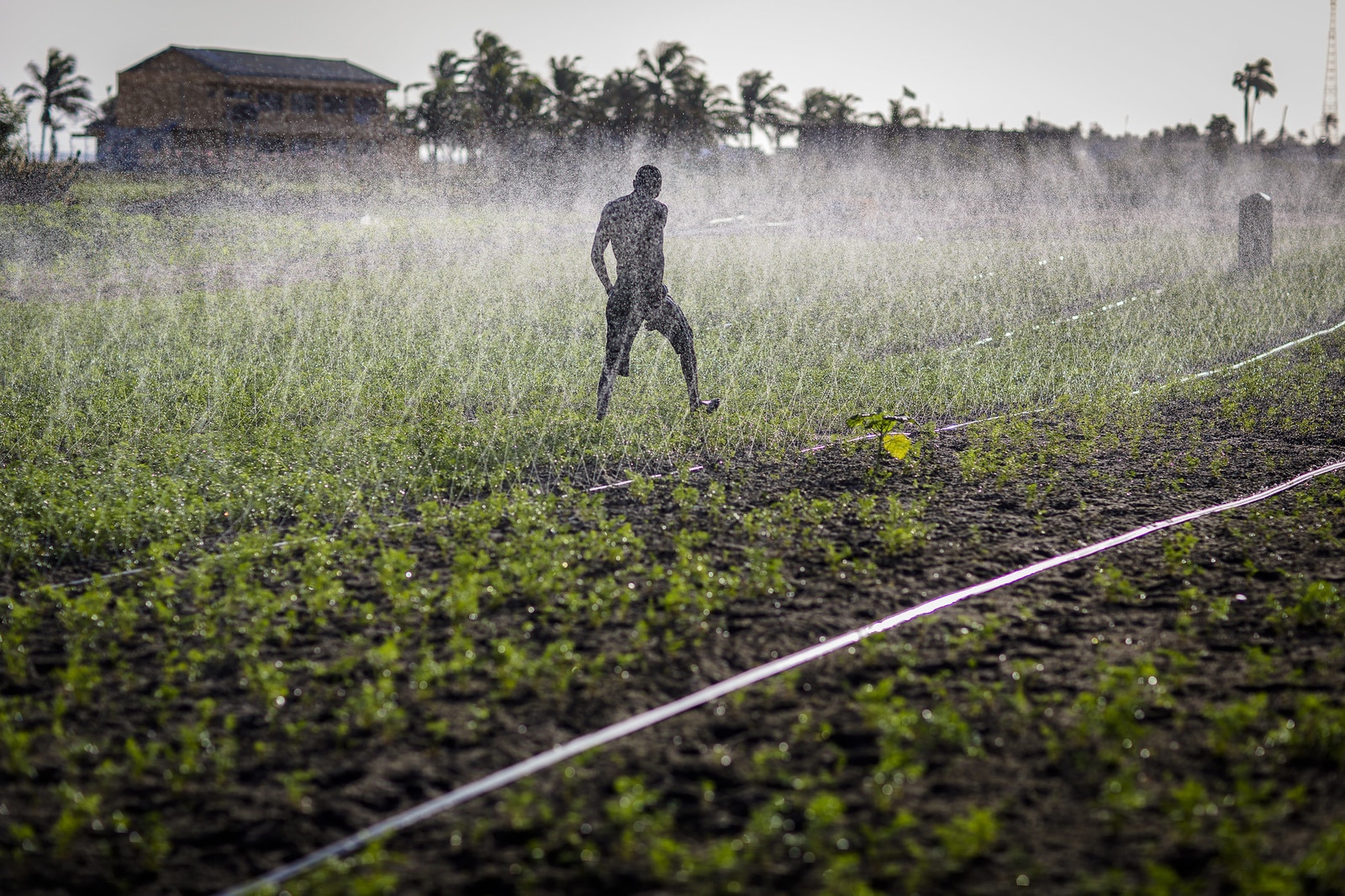 Why water security is our most urgent challenge today | World Economic ...
