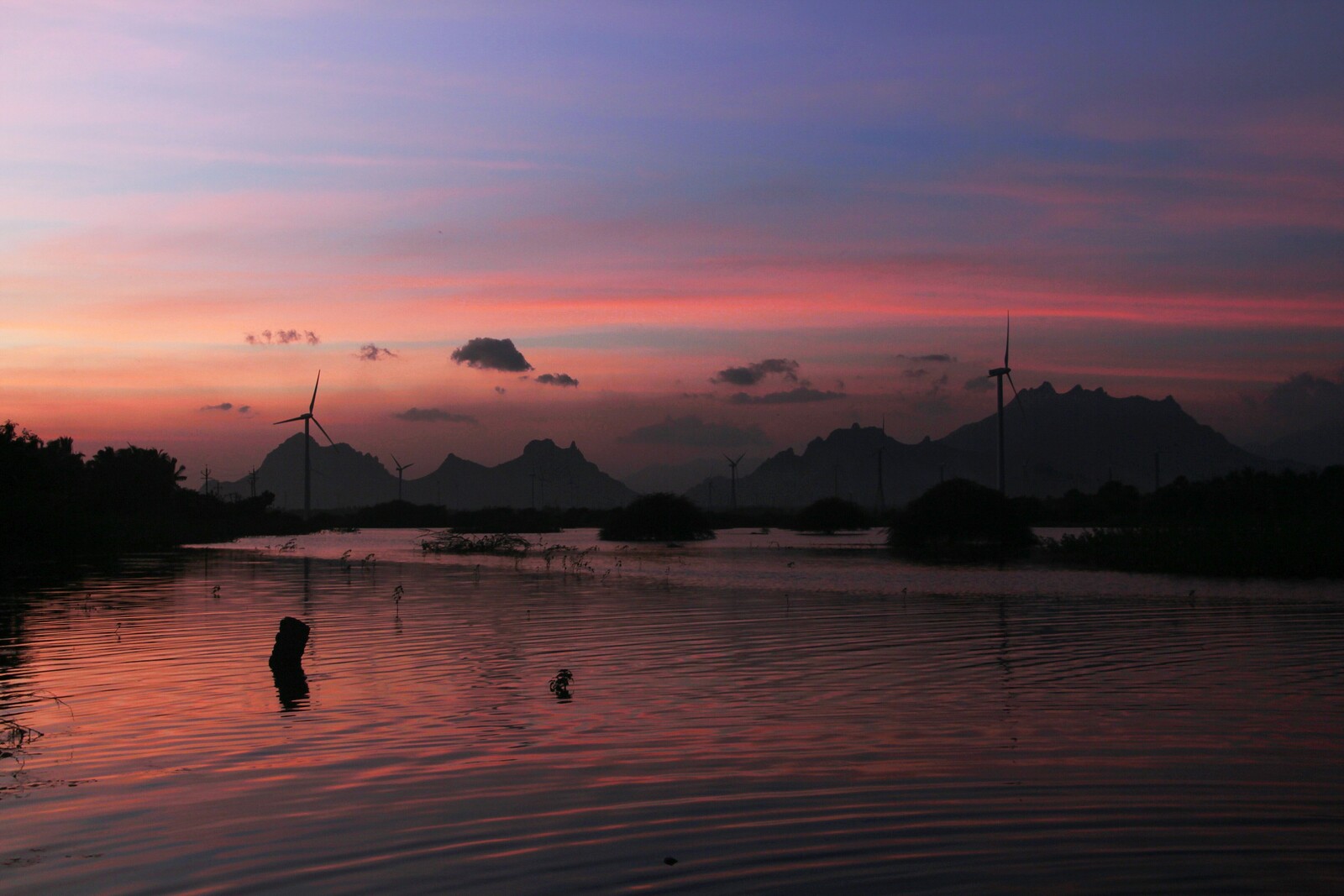 How India is emerging as an advanced energy superpower | World Economic ...