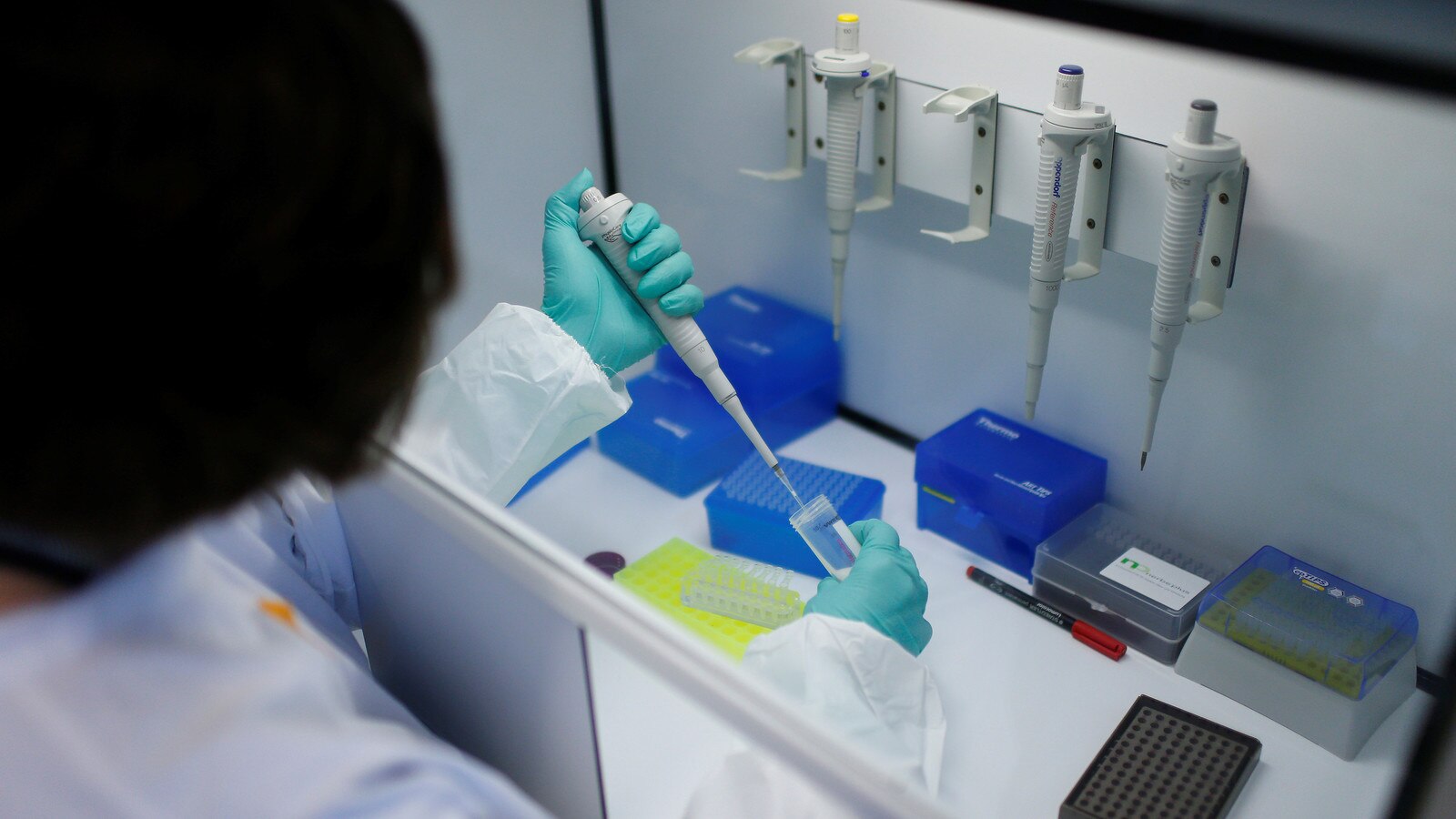 Christian Yates - Agenda Contributor | World Economic Forum