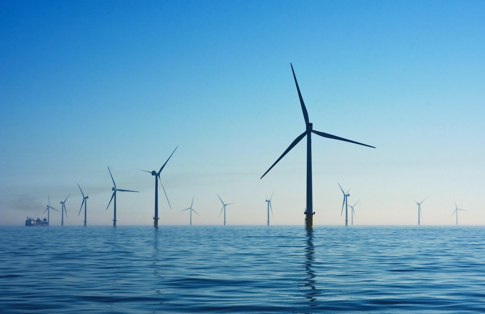 Offshore wind farms make artificial reefs for marine life | World ...