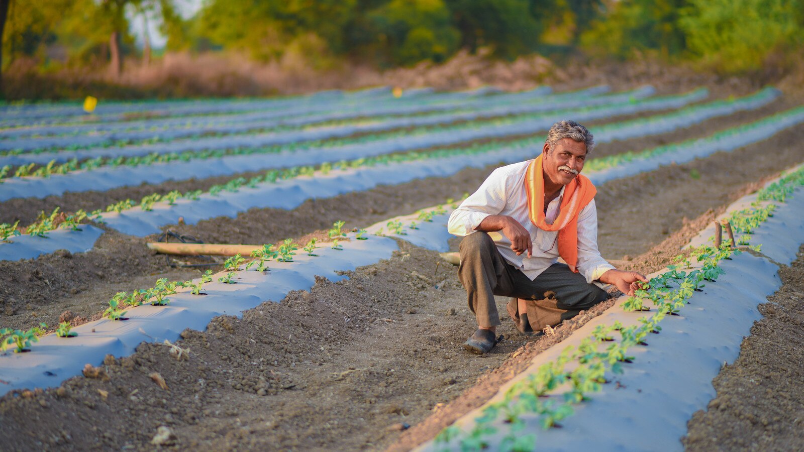Yara International | World Economic Forum