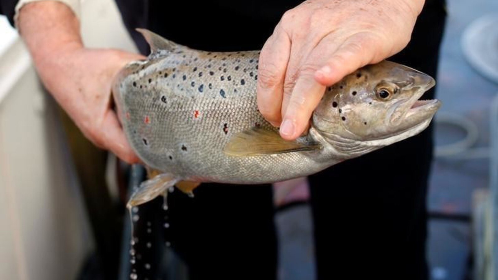 Simon Bush - Agenda Contributor | World Economic Forum