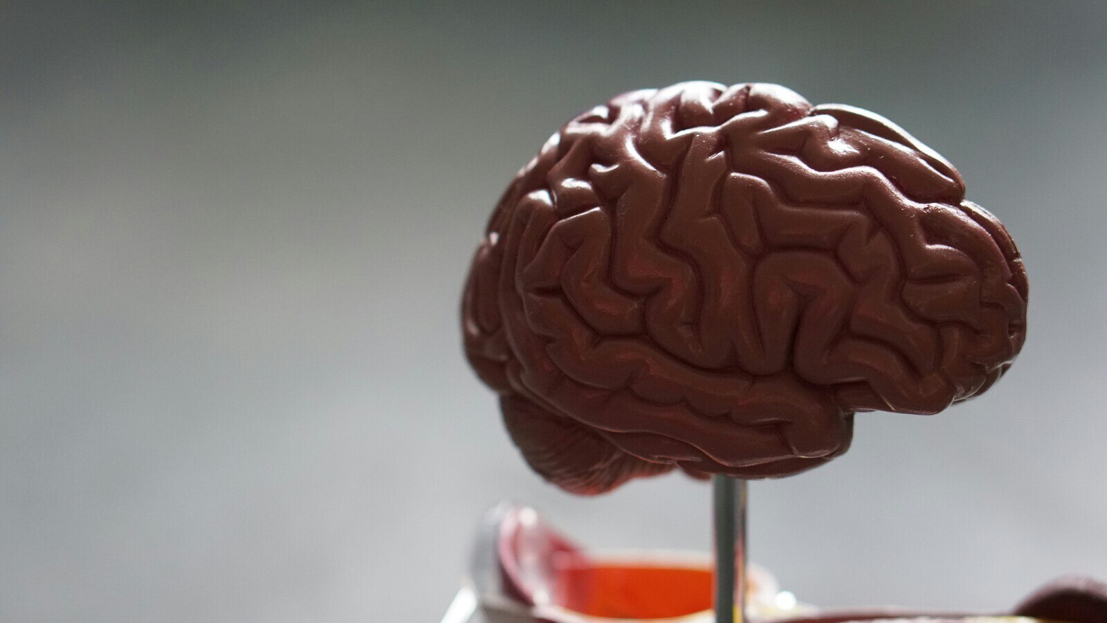 How to make treatment for neurological conditions fairer | World ...
