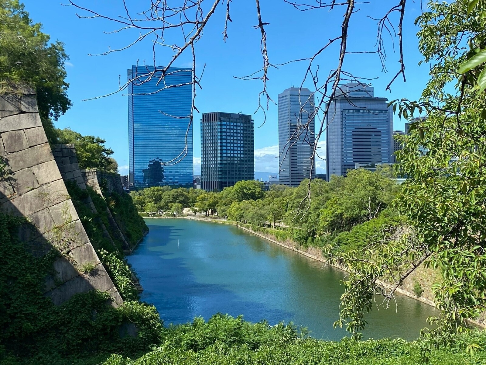 Regenerative design: urban spaces for people and the planet | World ...