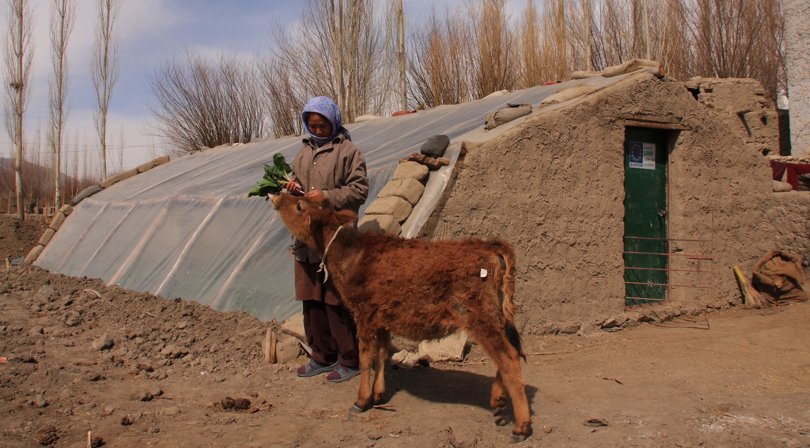 Why financial inclusion is critical to climate resilience | World ...