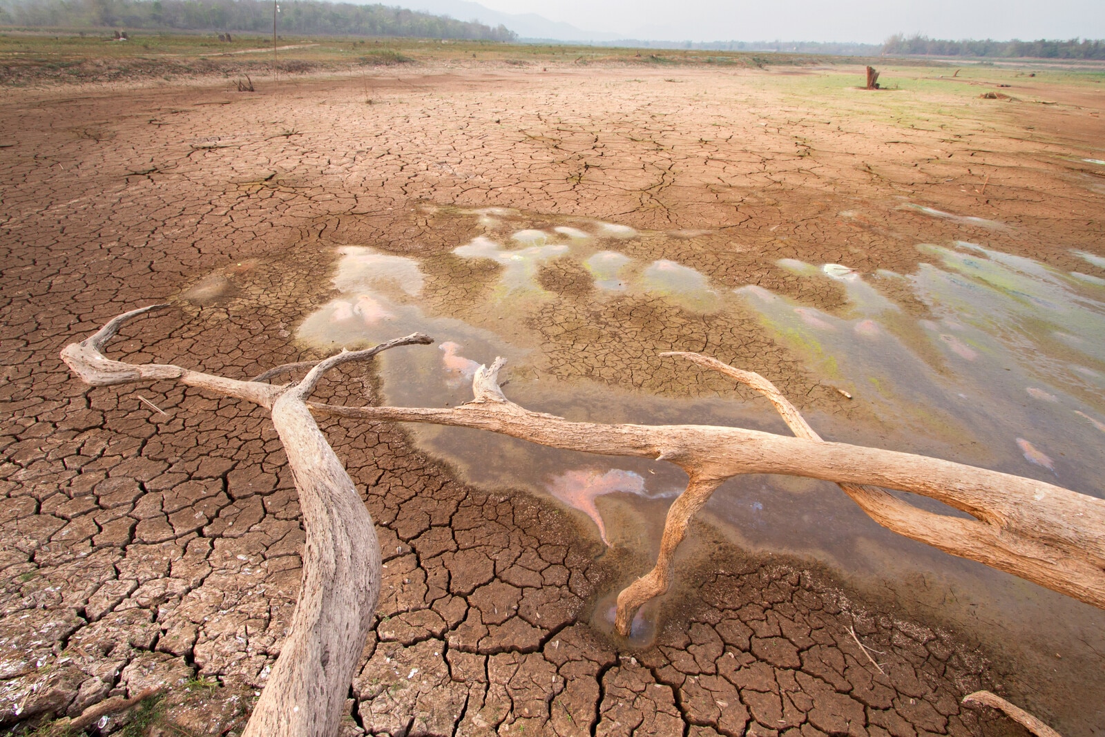 See how atmospheric water generators can help water security | World ...
