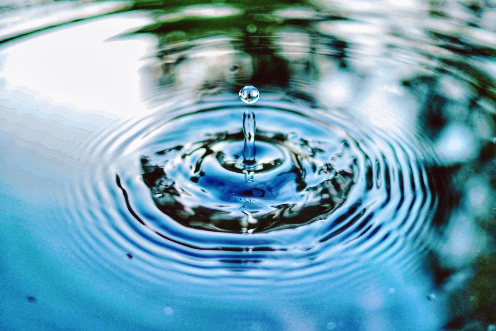 How can the water sector become renewable and circular? | World ...