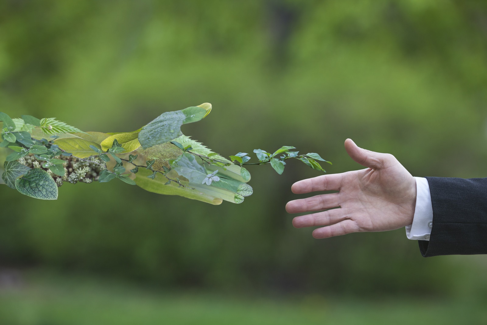 The big fallacy in the backlash against ESG and stakeholder capitalism ...