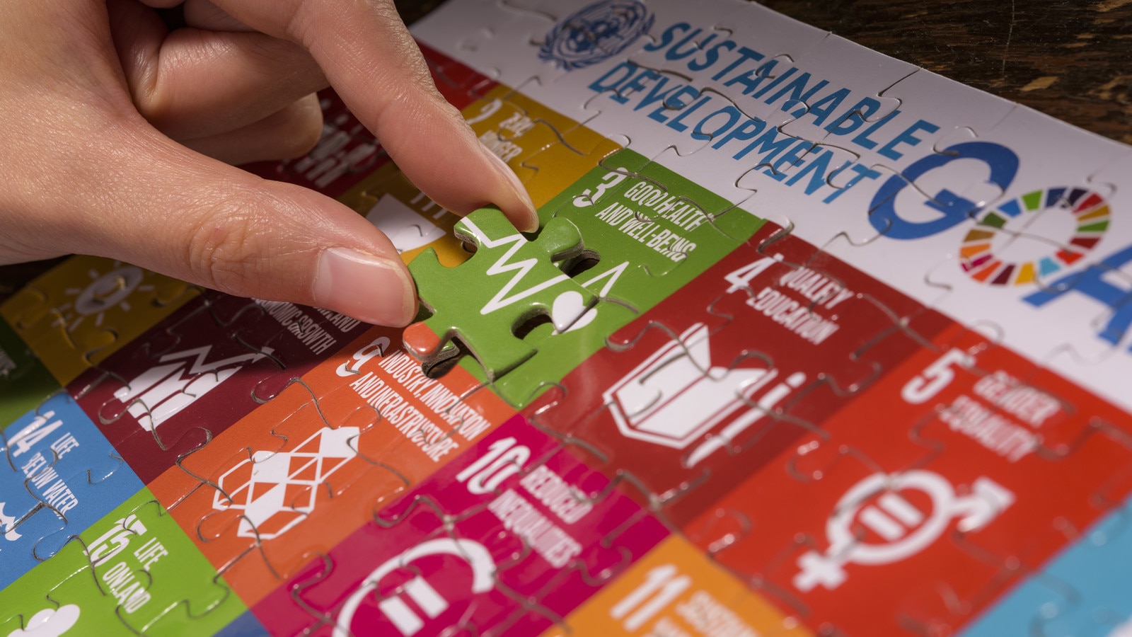 Development Bank of Southern Africa | World Economic Forum