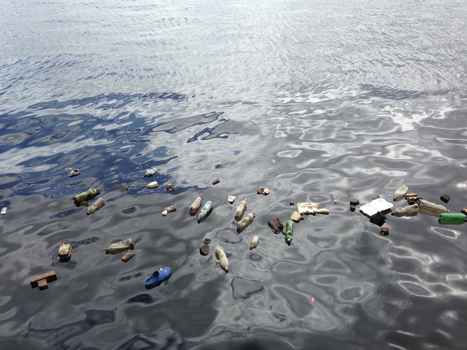 What is the impact of ocean pollution on human health? | World Economic ...