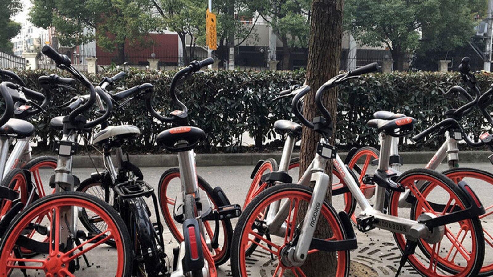 Simone McCarthy - Agenda Contributor | World Economic Forum