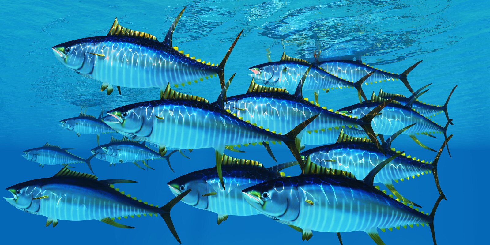 Climate crisis and the environment – top news this week | World ...